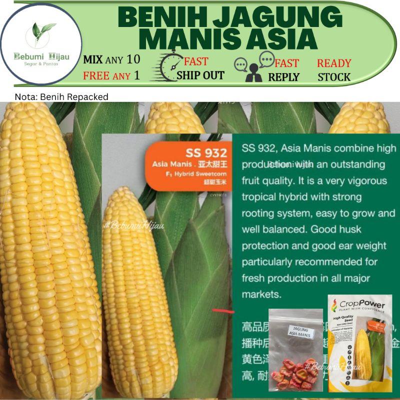 10 seed ASIA MANIS SWEET CORN seeds Jagung manis - TikTok Shop Malaysia