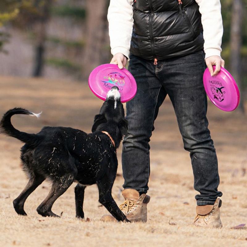 Dog Training Toy 24cm Pet Flying Discs Luminous Bite Resistant - TikTok ...