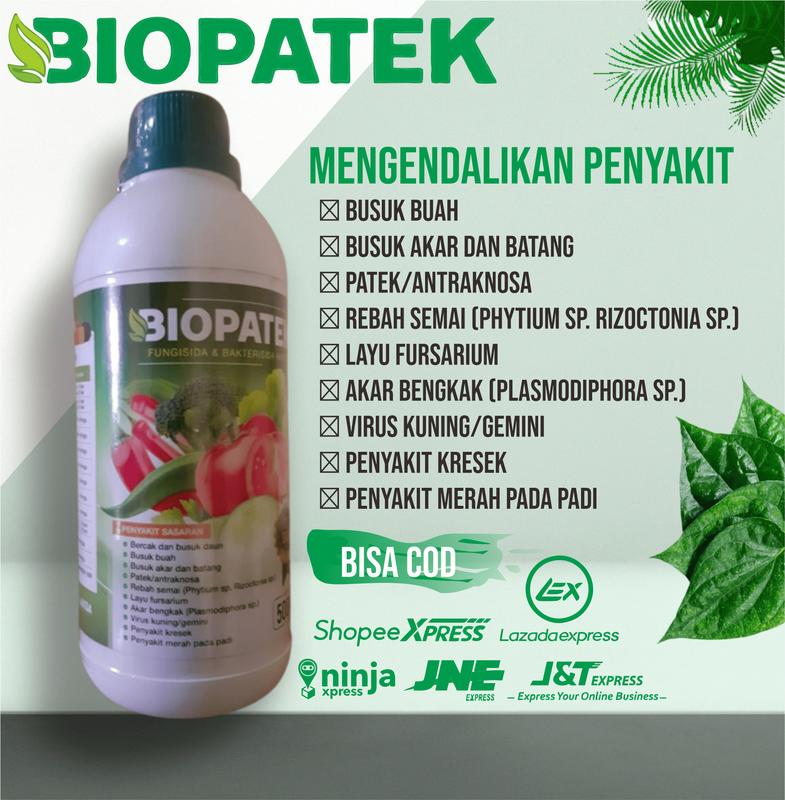 (REKOMENDED) BIOPATEK Fungisida Hayati 500 ML Obat Penyakit Kuning ...