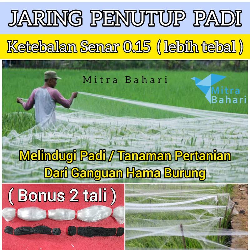JARING PENUTUP PADI SENAR 0.15 (LEBIH TEBAL) | JARING ANTI BURUNG ...