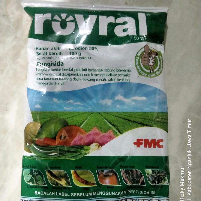 fungisida rovral 100gr - Shop | Tokopedia