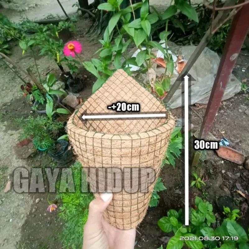 super jumbo pot anggrek tempel dinding serabut kelapa Bunga - Shop ...