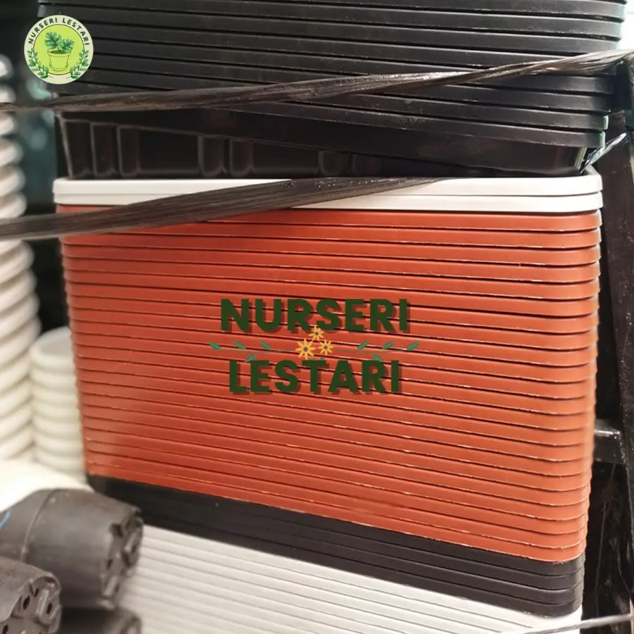 Pot Segi Persegi Panjang Meranti 50 - MERAH/HITAM/PUTIH - Shop | Tokopedia