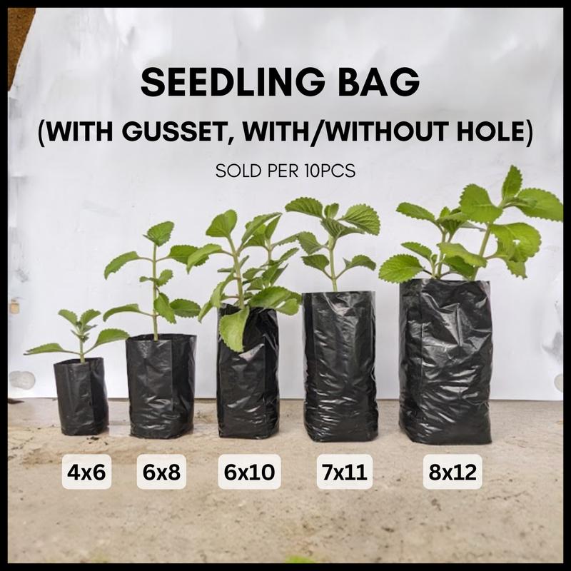 Seedling Bag With Gusset | With / Without Hole | 4x6 | 6x10 - TikTok ...