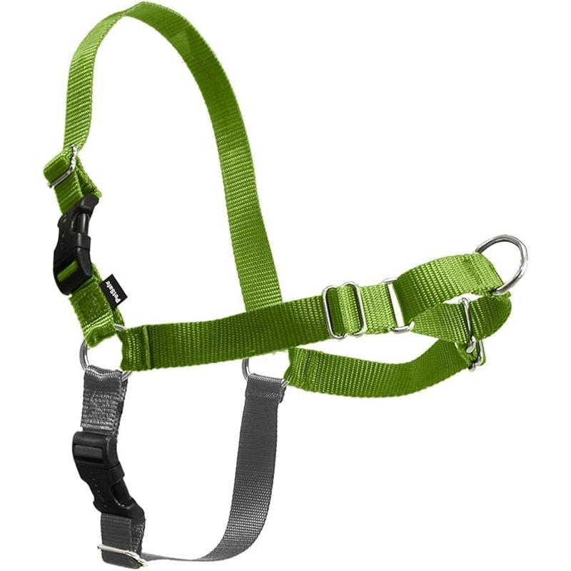 The Ultimate Harness to Help Stop Pulling - Take Control & Teach ...