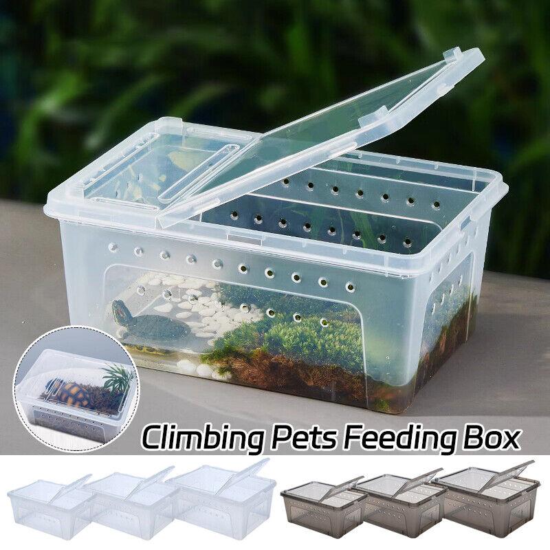 Reptile Pet Breeding Box for Lizard Turtle Snake Transparent - TikTok ...