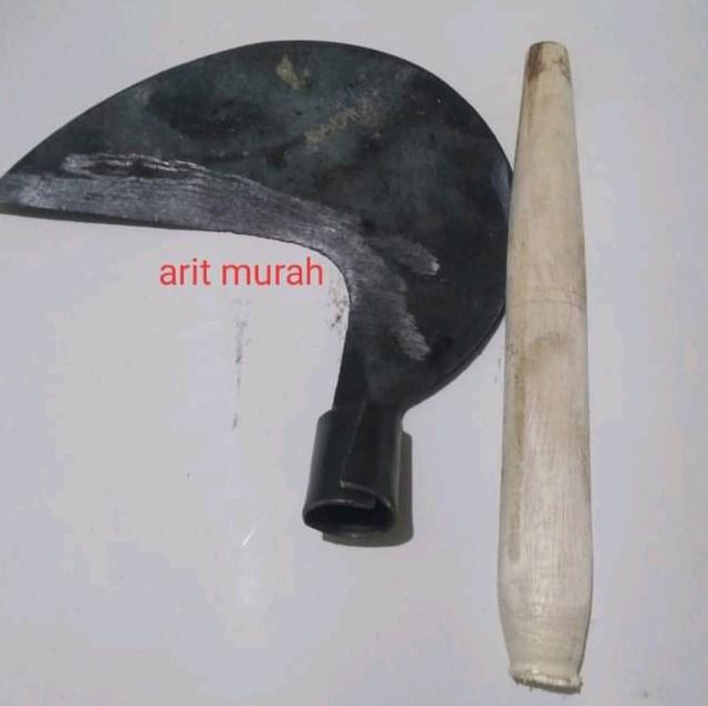 sabit arit alat pertanian - Shop | Tokopedia