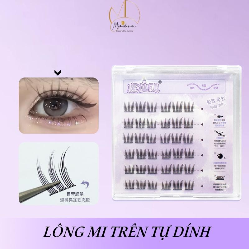 Lông mi giả tự dính MINODERM không cần keo, dễ gắn, mô phỏng - TikTok ...