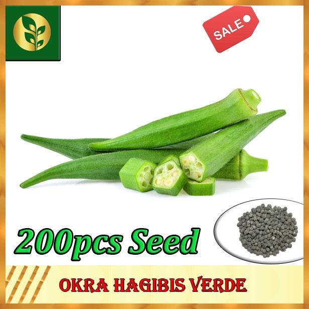 Okra Seeds | Vegetable Seeds | Golden Plant and Seed Store - TikTok ...
