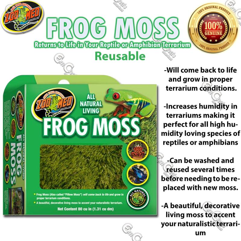 Zoo Med Frog Moss "Pillow Moss" 80 Cubic Inches Returns To Life ...