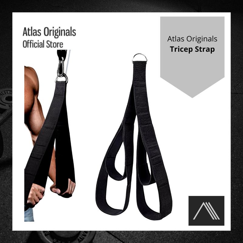 Atlas Originals Tricep Strap - TikTok Shop Malaysia