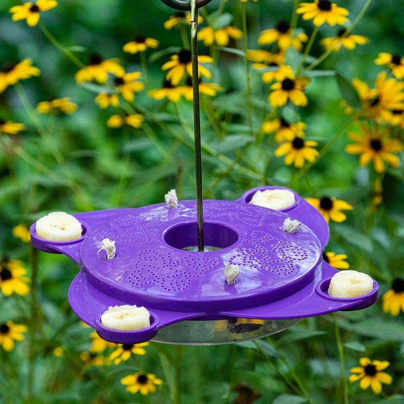 slolbut- Long-lasting Butterfly Feeder Colorful Butterfly Feeder ...