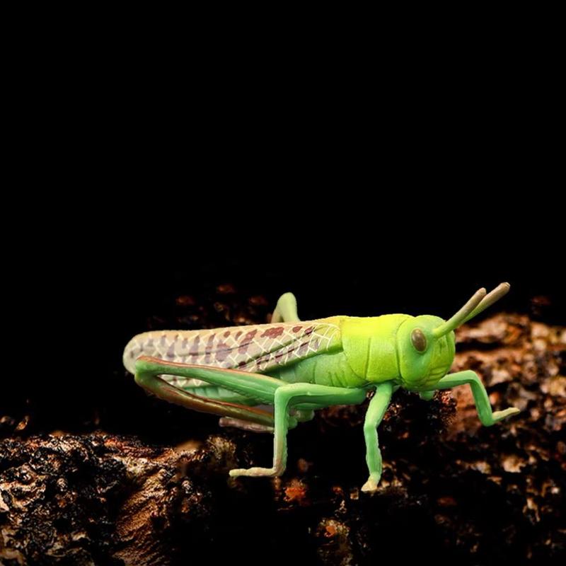 YANDUN 2Pcs Funny Plastic Locust Animal Model Cartoon Vivid Locust ...