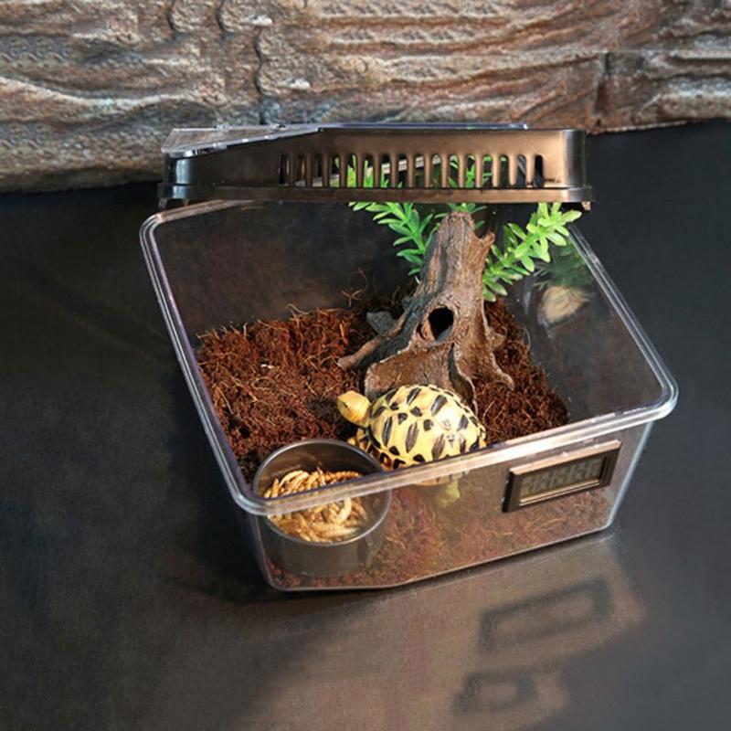 Insect Viewing Box Transparent Anti-escape Reptile Terrarium - TikTok ...