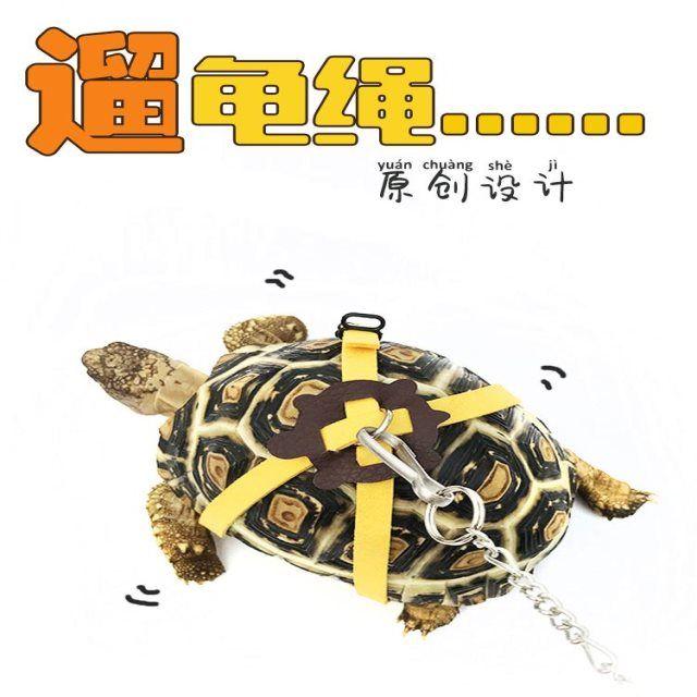 Free Shipping Walking Turtle Rope Walking Turtle Rope Tortoise - TikTok ...