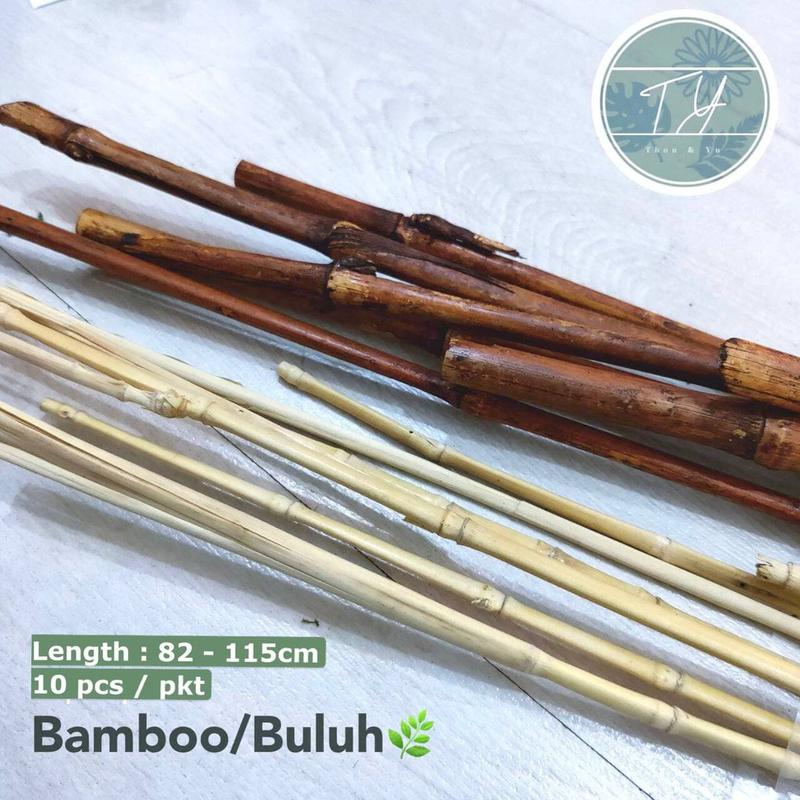 KUALITI PREMIUM Buluh Orkid || Buluh Putih Coklqt Emas || Eksesori ...