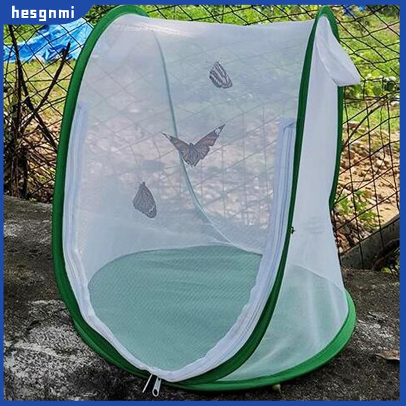 hesgnmi- Butterfly Cage Foldable Soft Insect Habitat Net Monarch ...