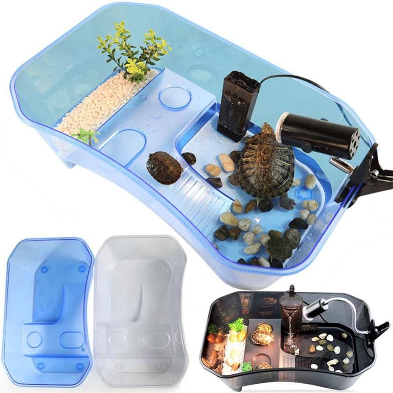 Durable Basking Ramp Turtle Vivarium Box Open Type Water Lan - TikTok ...