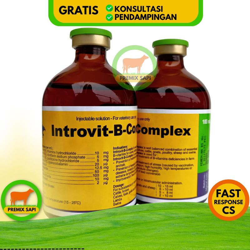 INTROVIT B COMPLEX 100ml - (KONSENTRASI TINGGI DAN BIOTIN) - - Shop ...