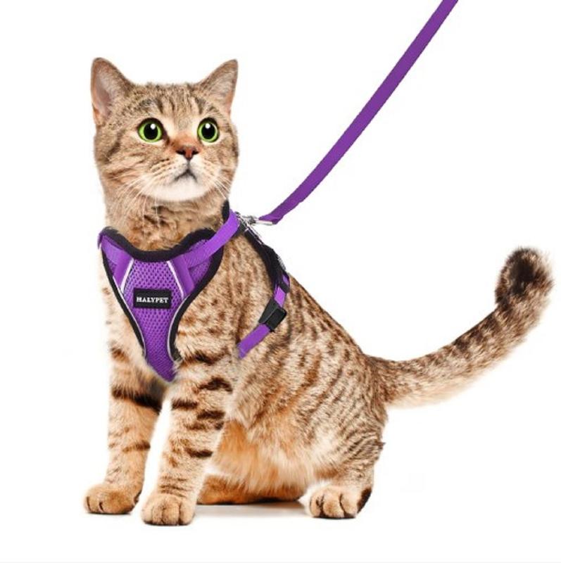Halypet Escape Proof Cat Harness and Leash Set, with Securit - TikTok Shop
