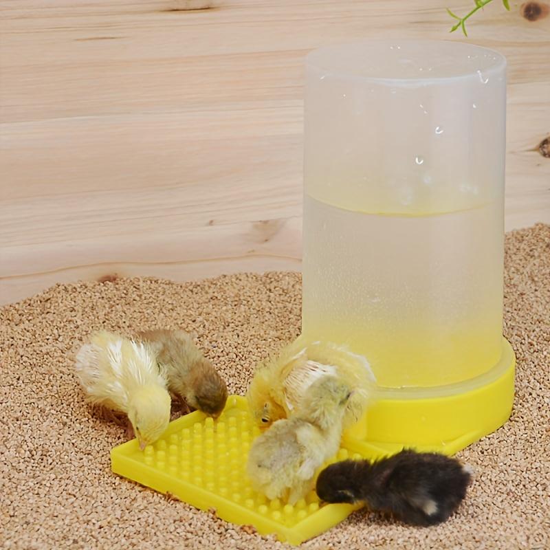 Chicken Water Dispenser, 1pc - Prevents Drowning, Provides Water for ...