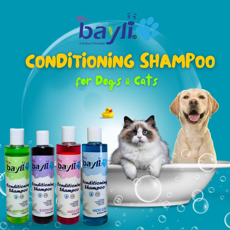 BAYLI PET CONDITIONING SHAMPOO (1liter - 500ml - 300ml) - TikTok Shop ...