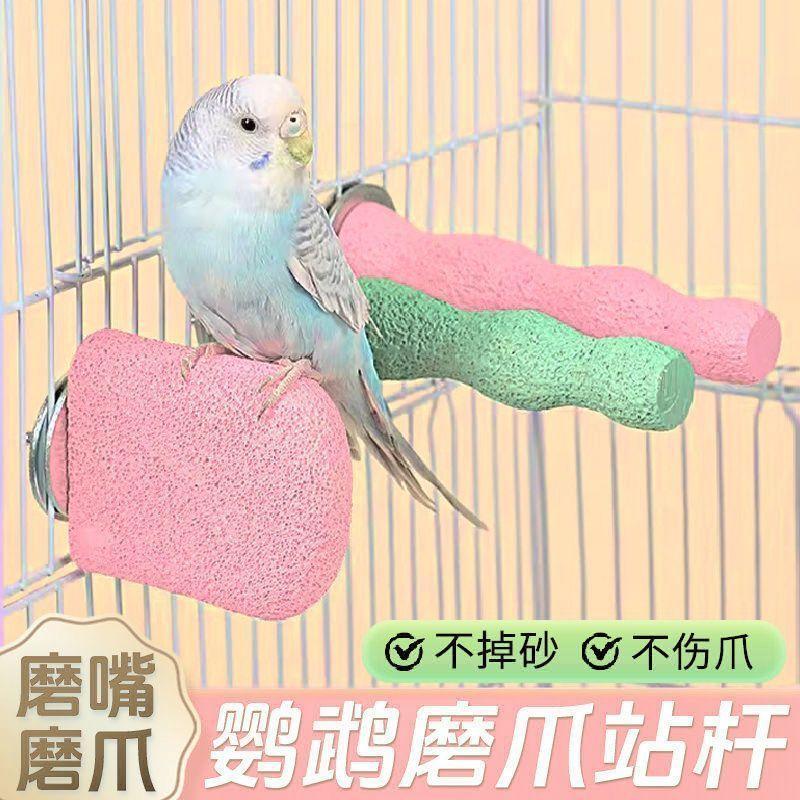 Batang Berdiri Burung Beo, Tongkat Cakar Pengisar Burung, Pelbagai ...