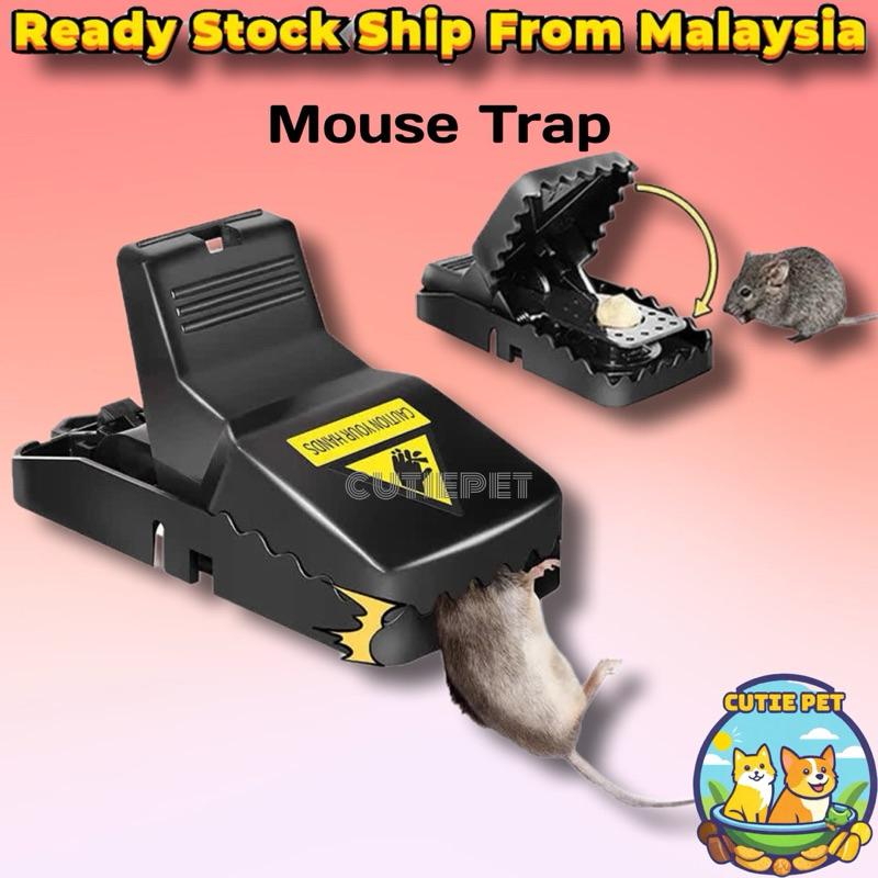 Reusable mouse trap perangkap tikus Strong Bite Plastic Mice - TikTok ...