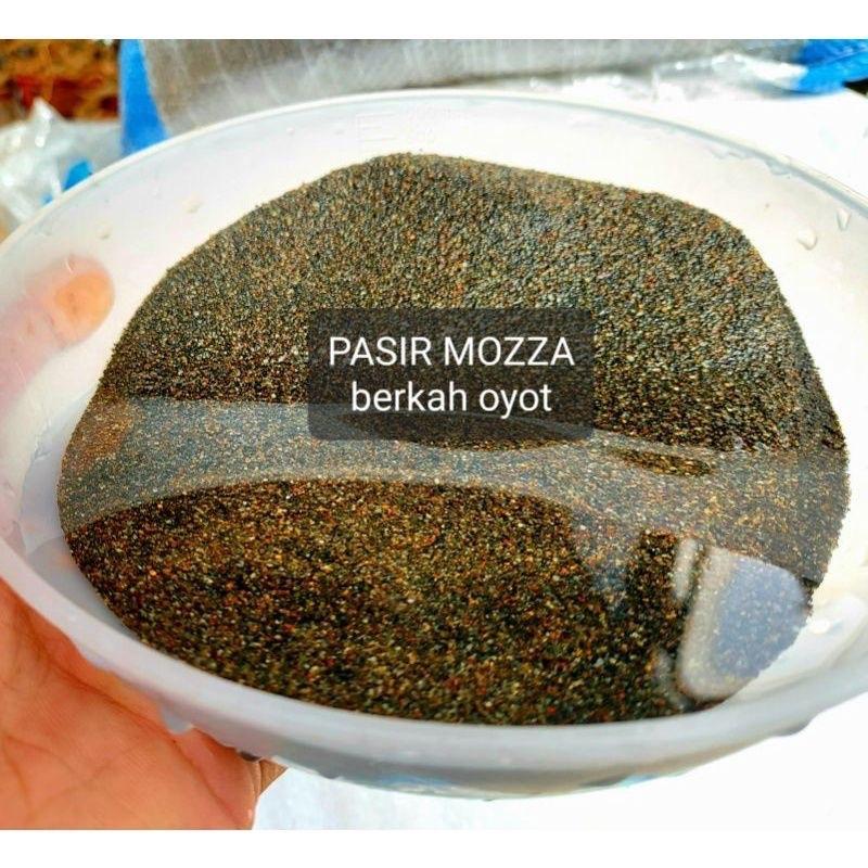 PASIR NATURAL DAN MOZA UNTUK AQUASCAPE CHANNA - Shop | Tokopedia