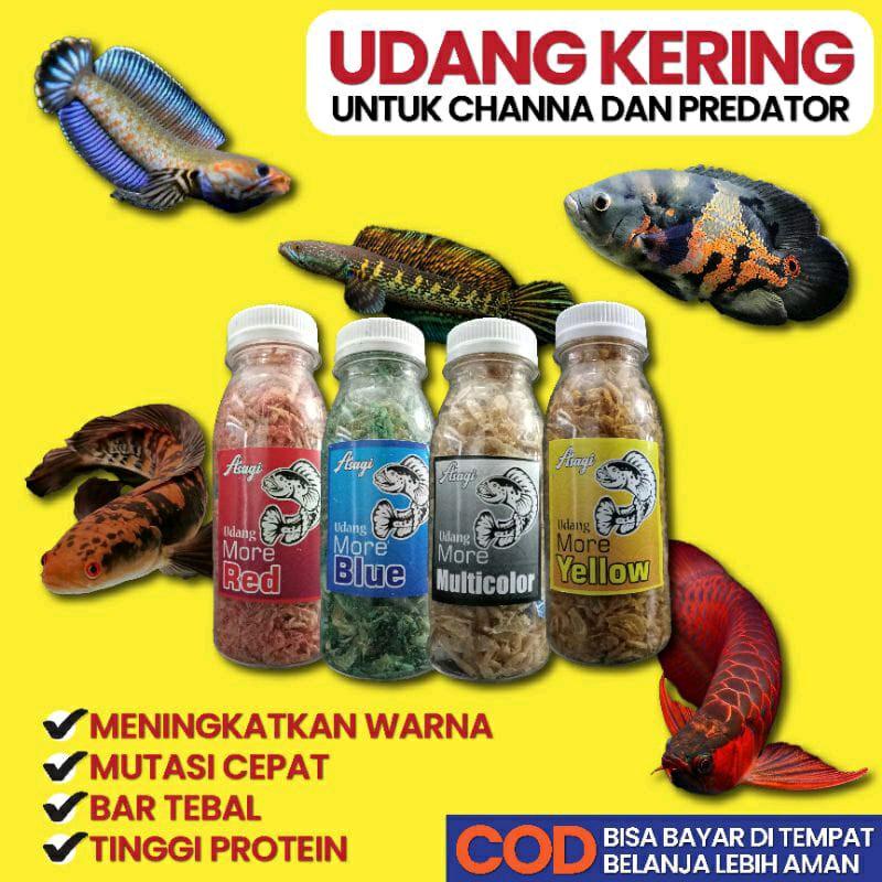 udang / shrimp super red yellow blue isi 60ml 100ml pakan channa - Shop ...