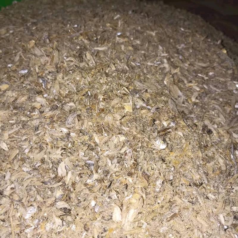habuk ikan bilis 2kg - TikTok Shop Malaysia