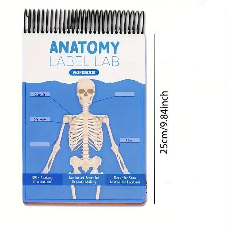 1 Piece Anatomy Label Lab Workbook, Anatomy Term Workbook, Human ...