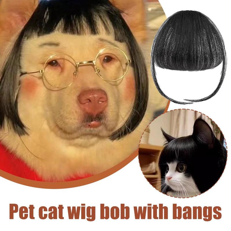 Rambut Palsu Kucing dengan Poni, Gaya Rambut Bob Comel, untu - TikTok ...