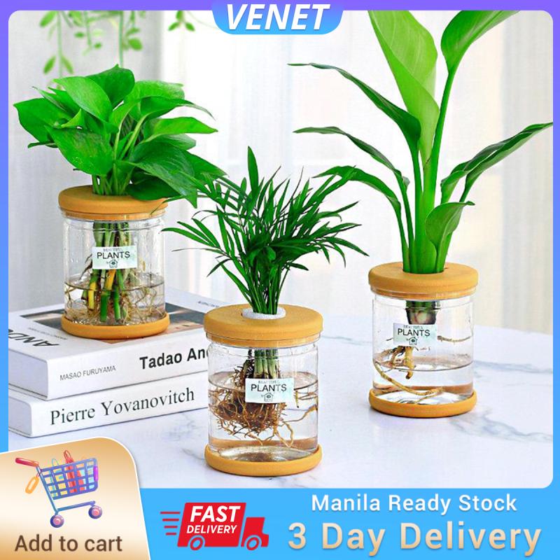 1pc Mini Hydroponic Flower Pot Household Vase Decoration Transparent ...