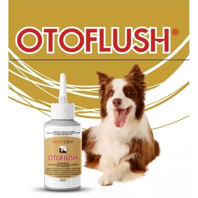 Otoflush Ear Flush For Dogs 125ml - TikTok Shop Singapore