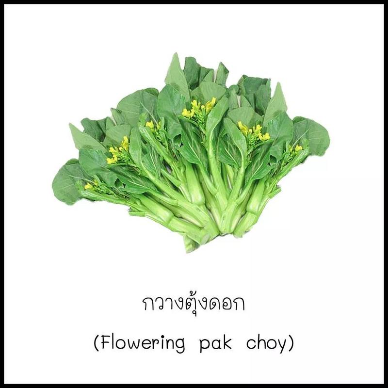 เมล็ดกวางตุ้งดอก (Flowering pak choy) 200 เมล็ด [10 แถม 1 คละได้ ...