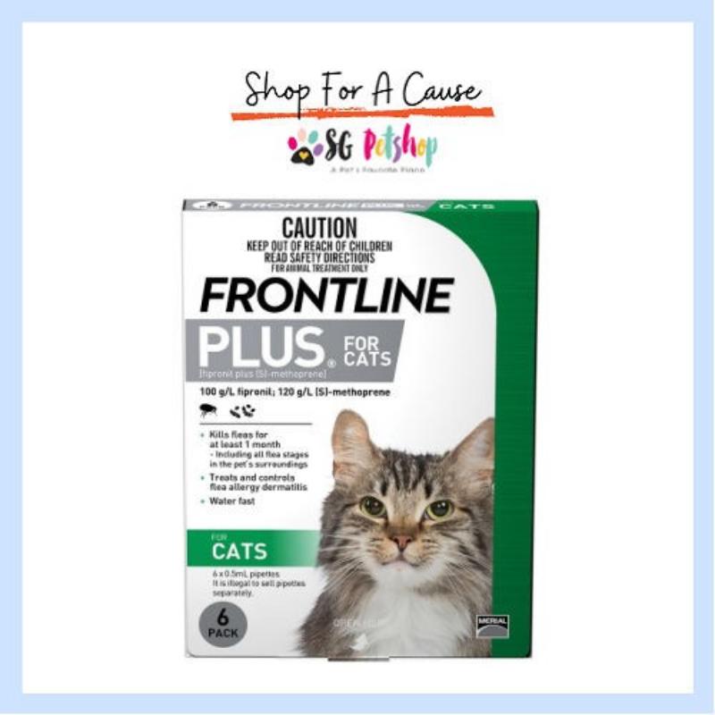 Original Product Frontline Plus For Cats Anti Fleas And Mite - TikTok ...