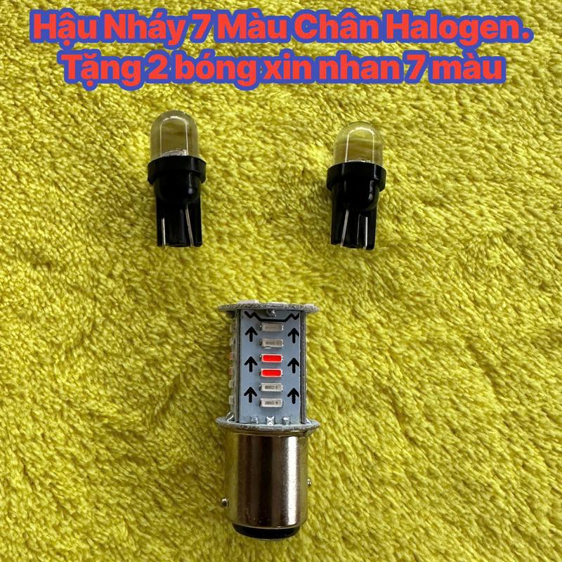 Hậu Nháy 7 Màu 2 Chế Độ (kèm 2 xin nhan 7 màu chân t10 ) Chạy - TikTok ...