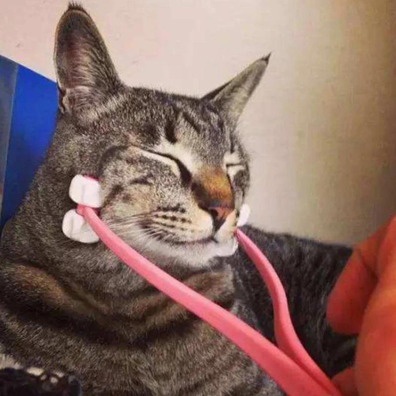 Cat Thin Face Massager Interactive Massage Feet Leg Massager - TikTok ...