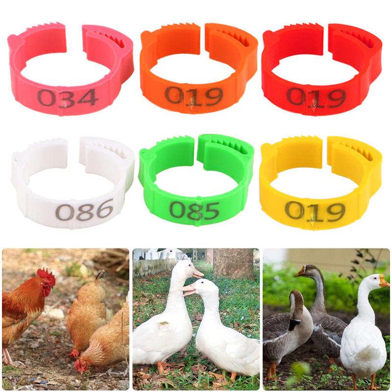 100PCS Chicken Foot Ring Marker Adjustable Size 1-100 Number Poultry ...