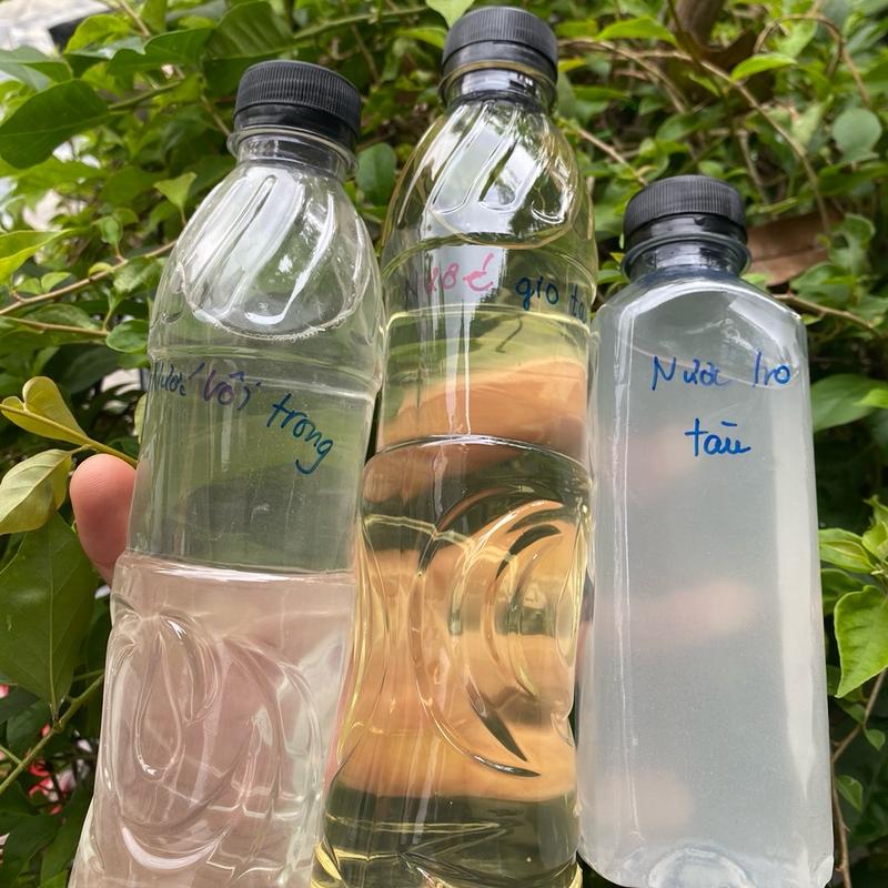 Combo nước gio ta, tro tàu, nước vôi trong dùng làm bánh- nấ - TikTok ...