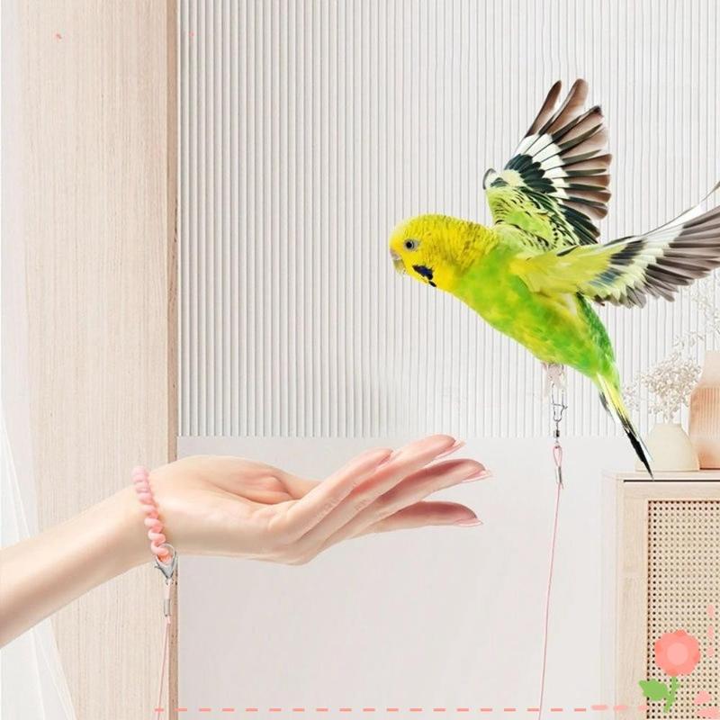 Elastic Parrot Leash Anti-Flying, Bird Training Rope with Metal ...