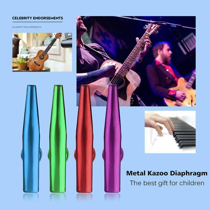 Portable Metal Kazoo for Beginner Woodwind Instrument Lovers ...