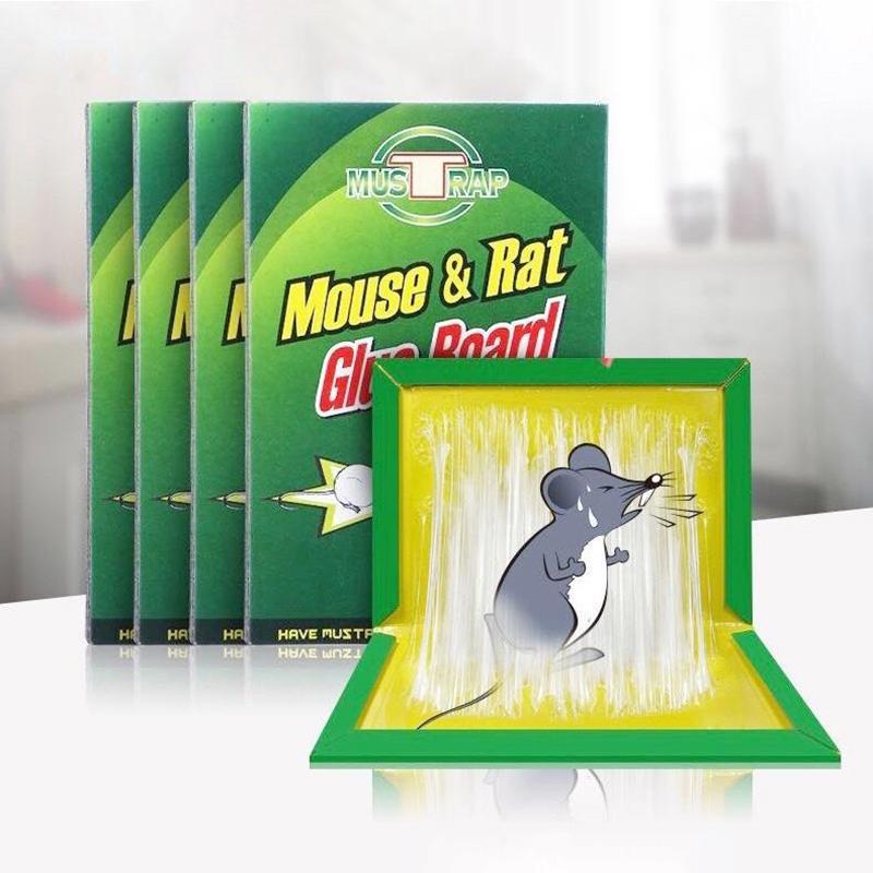 Green Card Mouse Rubber Sheet Trap with Super Sticky Glue fo - TikTok ...