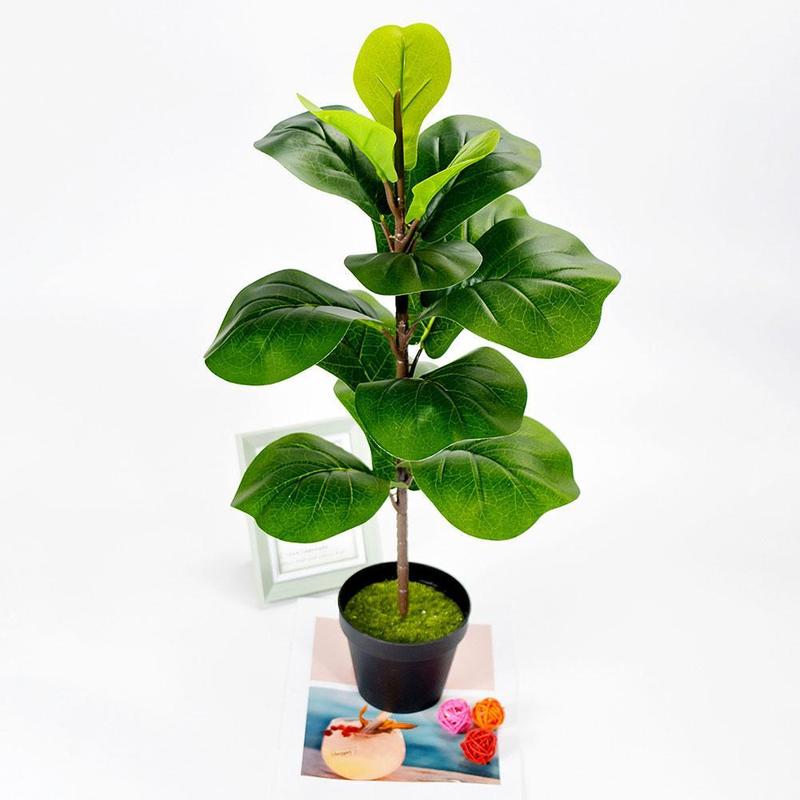 Daun Ficus Tiruan, Gaya Nordic, Tumbuhan Pasu, Hiasan Mudah, - TikTok ...