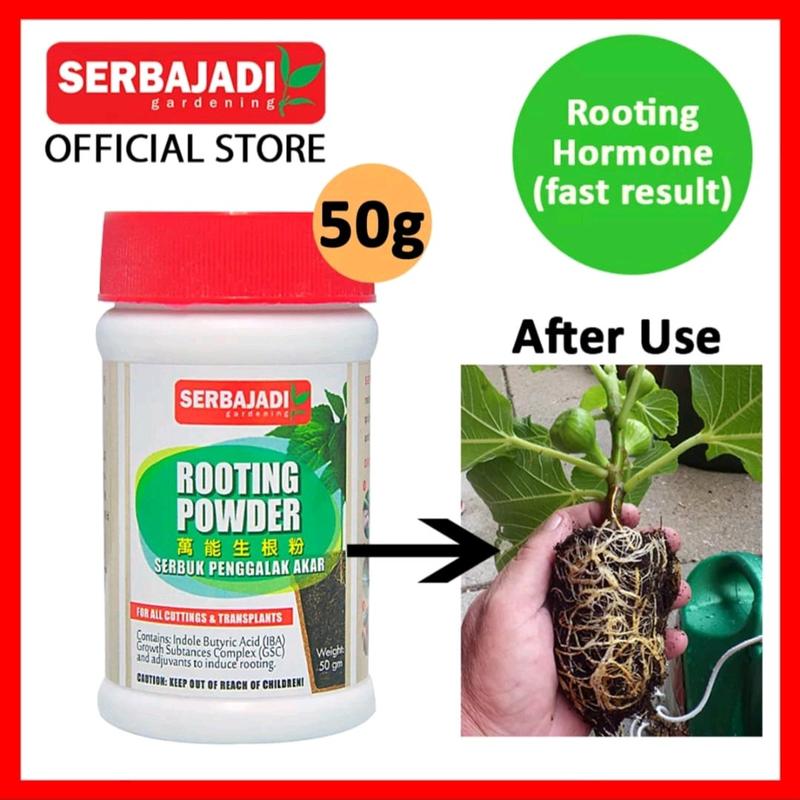 Serbajadi Rooting Powder 50g Serbuk Penggalak Akar - TikTok Shop Malaysia