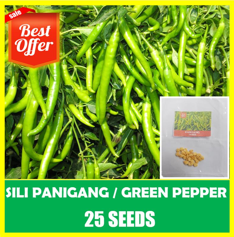 Sili Panigang Seeds (Long Chili) - Sullit Pack of 25 Seeds for - TikTok ...
