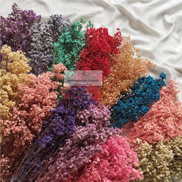 Jual 25 gr Preserved Baby Breath / Dried Flower Awetan / Bunga Kering ...