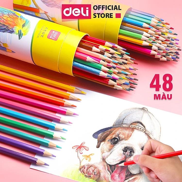 Chì màu gốc dầu Deli dạng cốc 12/24/36/48 màu - TikTok Shop Vietnam
