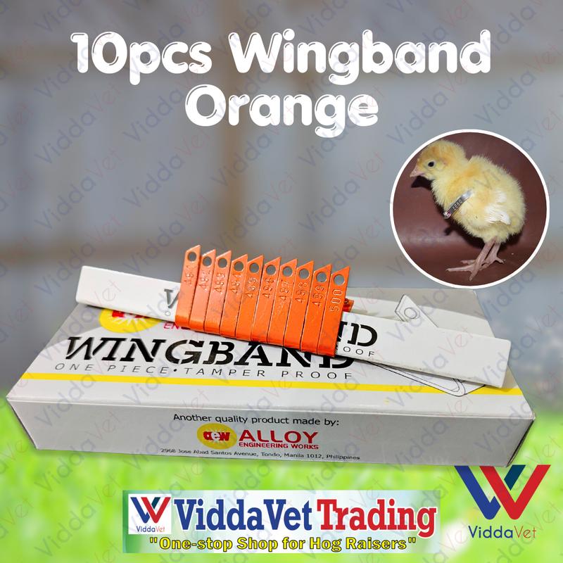 10pcs Wingband Orange for chicken wings wingband Wing Bands - TikTok ...